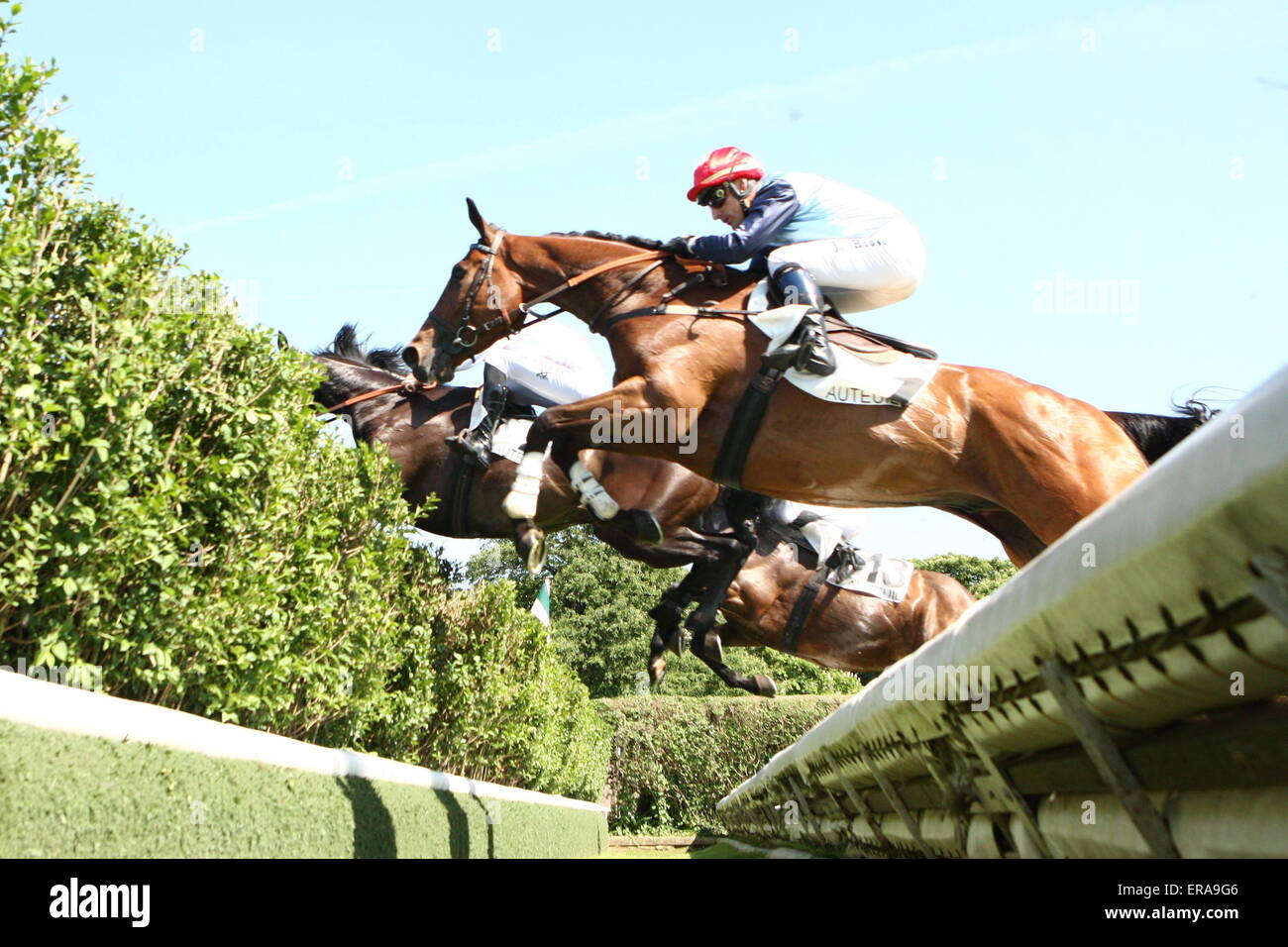 Jacques RICOU - 17.05.2015 - Grand Steeple Chase de Paris .Photo : Dyga ...