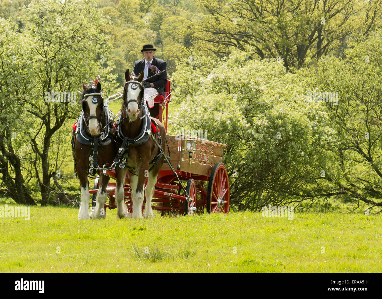 Drymen agricultural show hi-res stock photography and images - Alamy