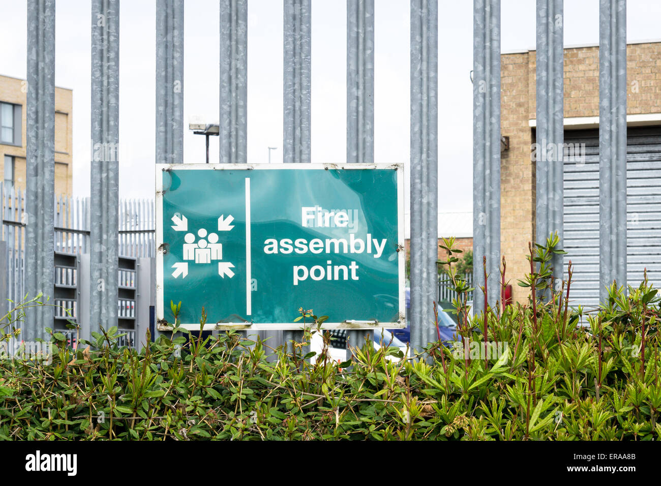 Fire assembly point sign on a metal fence above a hedge Stock Photo - Alamy