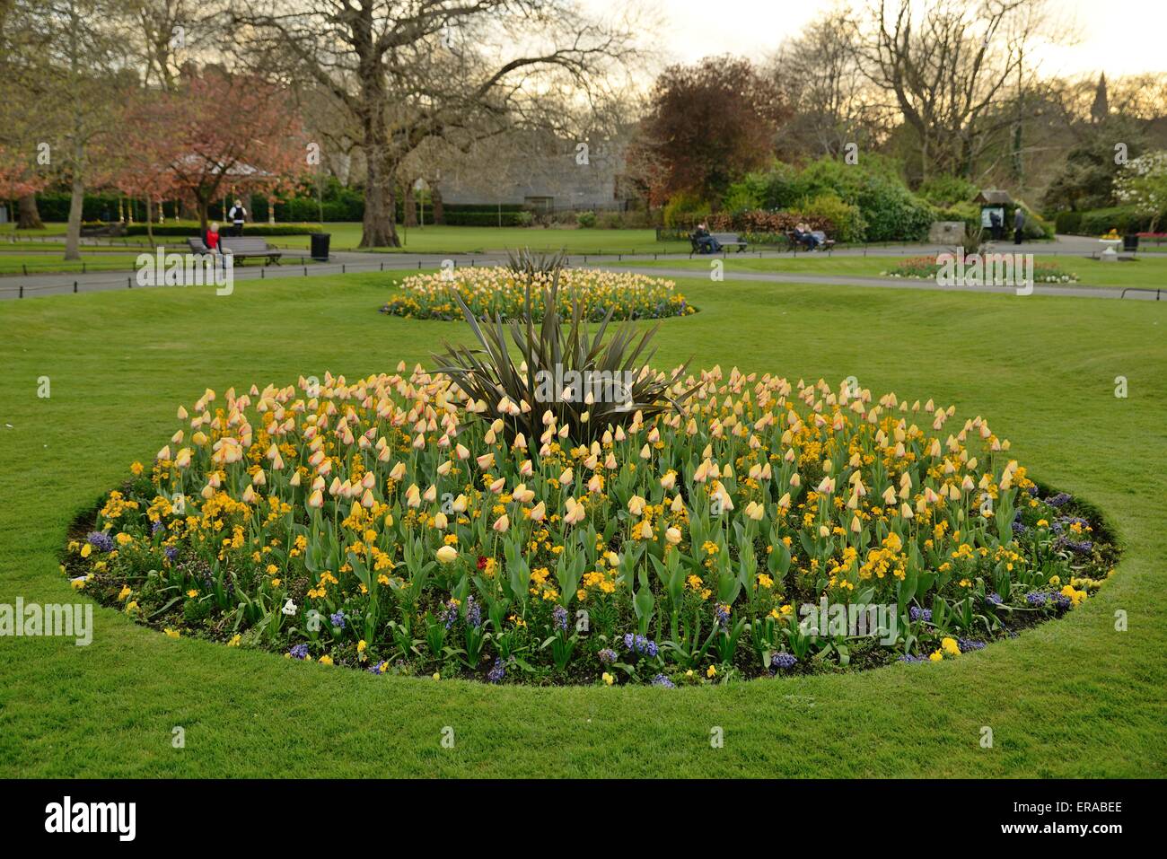 Flowerbed in Dublin's St Stephen's Green Stock Photo - Alamy