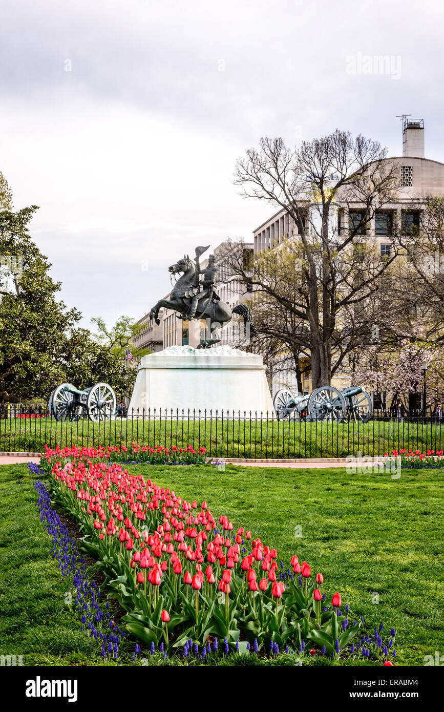 Tulips, Major General Andrew Jackson Memorial, Lafayette Park ...