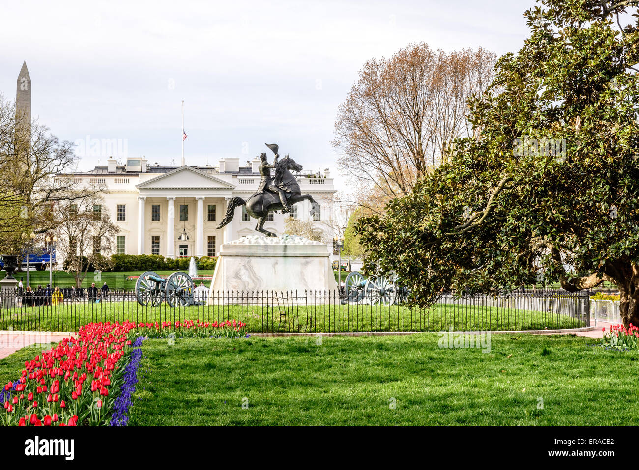 Tulips, Major General Andrew Jackson Memorial, Lafayette Park ...