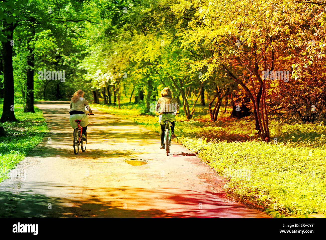 Two girls ride bikes in a beautiful spring forest Stock Photo - Alamy