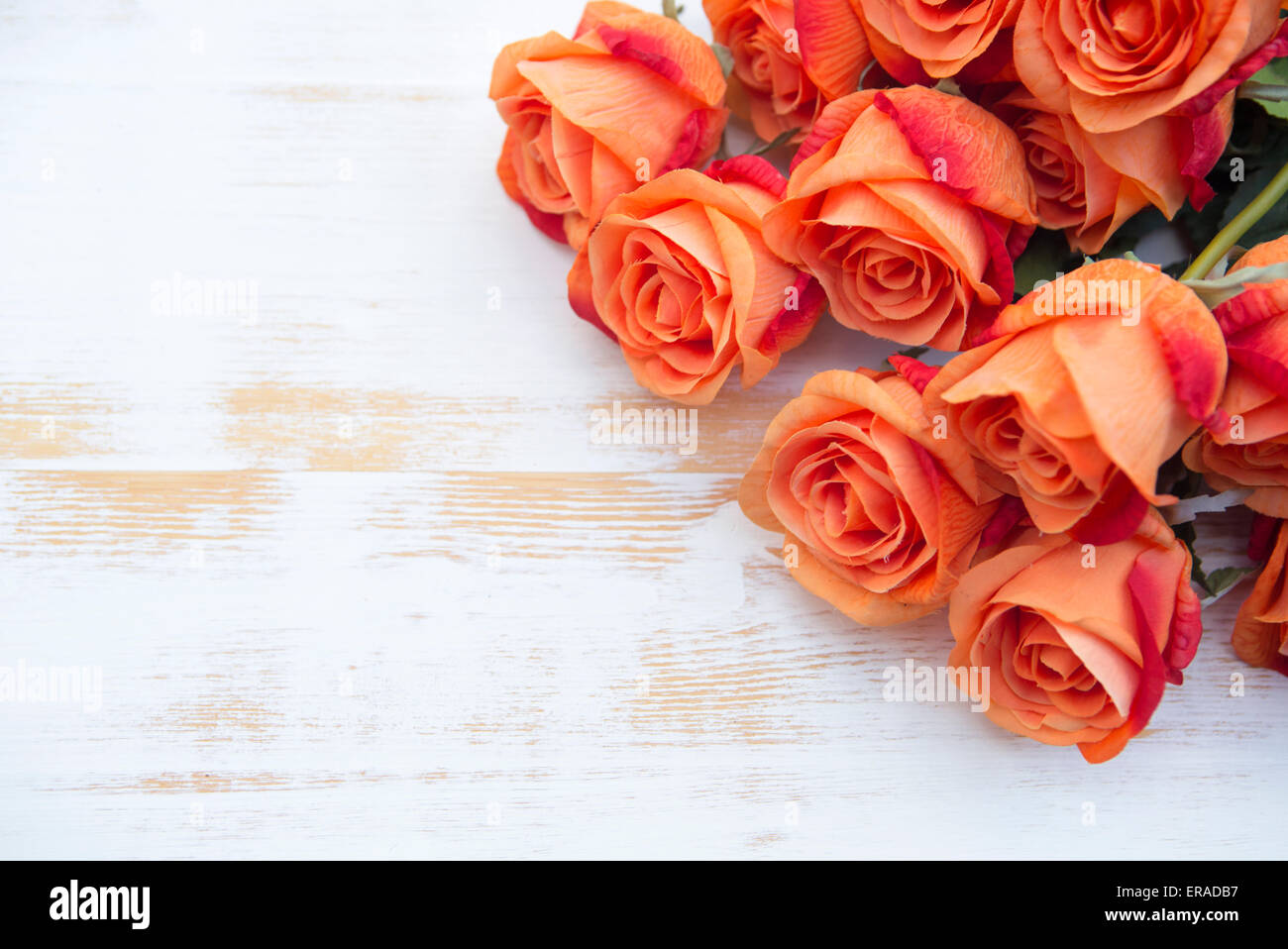 bunch of beautiful orange roses on a white vintage wooden background ...