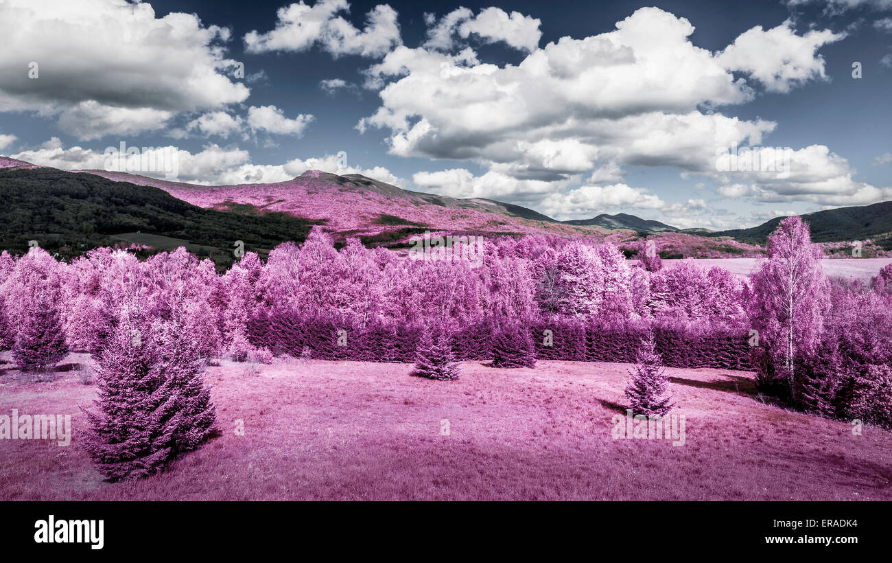 Beautiful purple infrared landscape hi-res stock photography and images ...