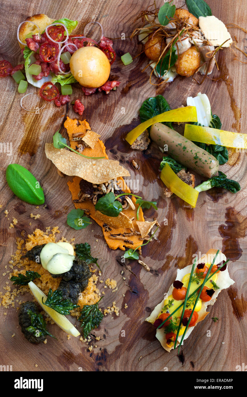 Tv Famous British Chefs