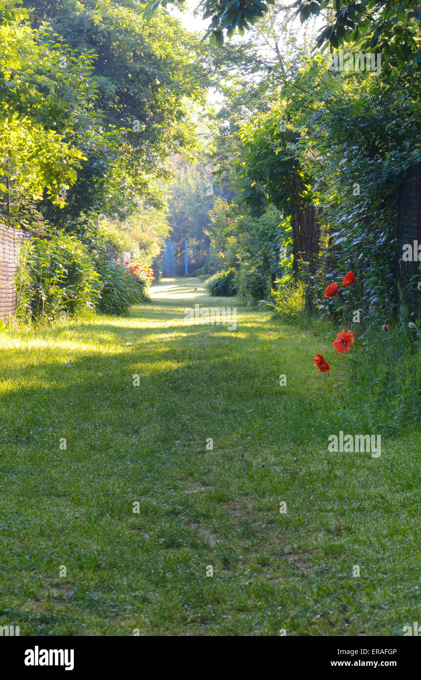 On sunny spring morning hi-res stock photography and images - Alamy