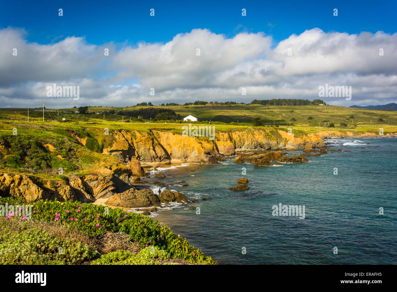 Pescadero beach hi-res stock photography and images - Alamy