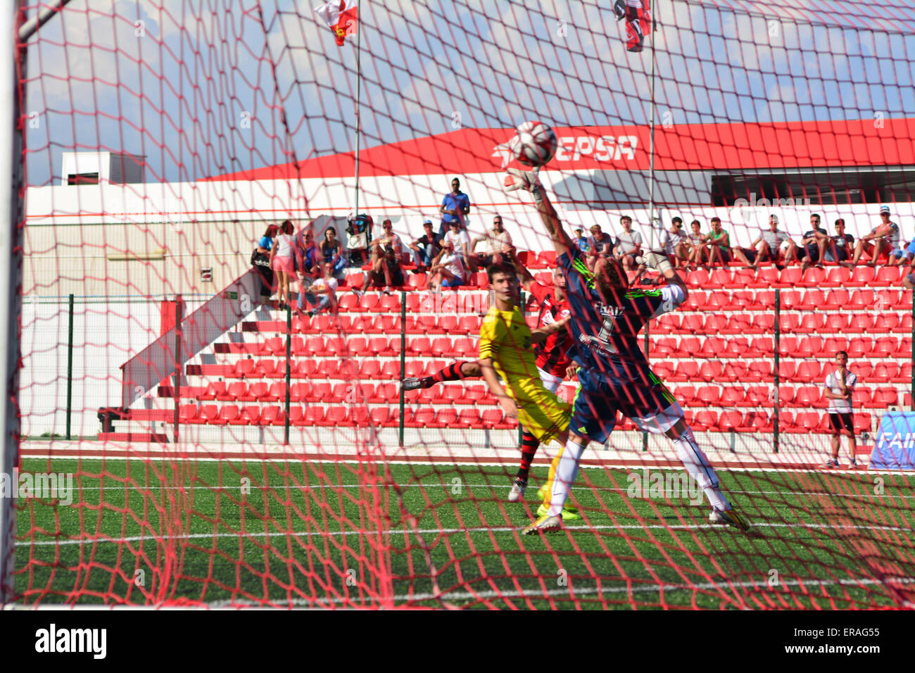 Lynx fc hi-res stock photography and images - Alamy