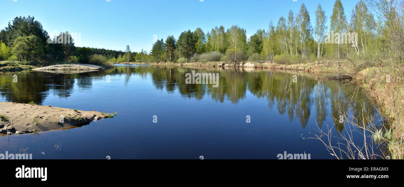 Panoramic landscape forest river in spring season in the national Park ...