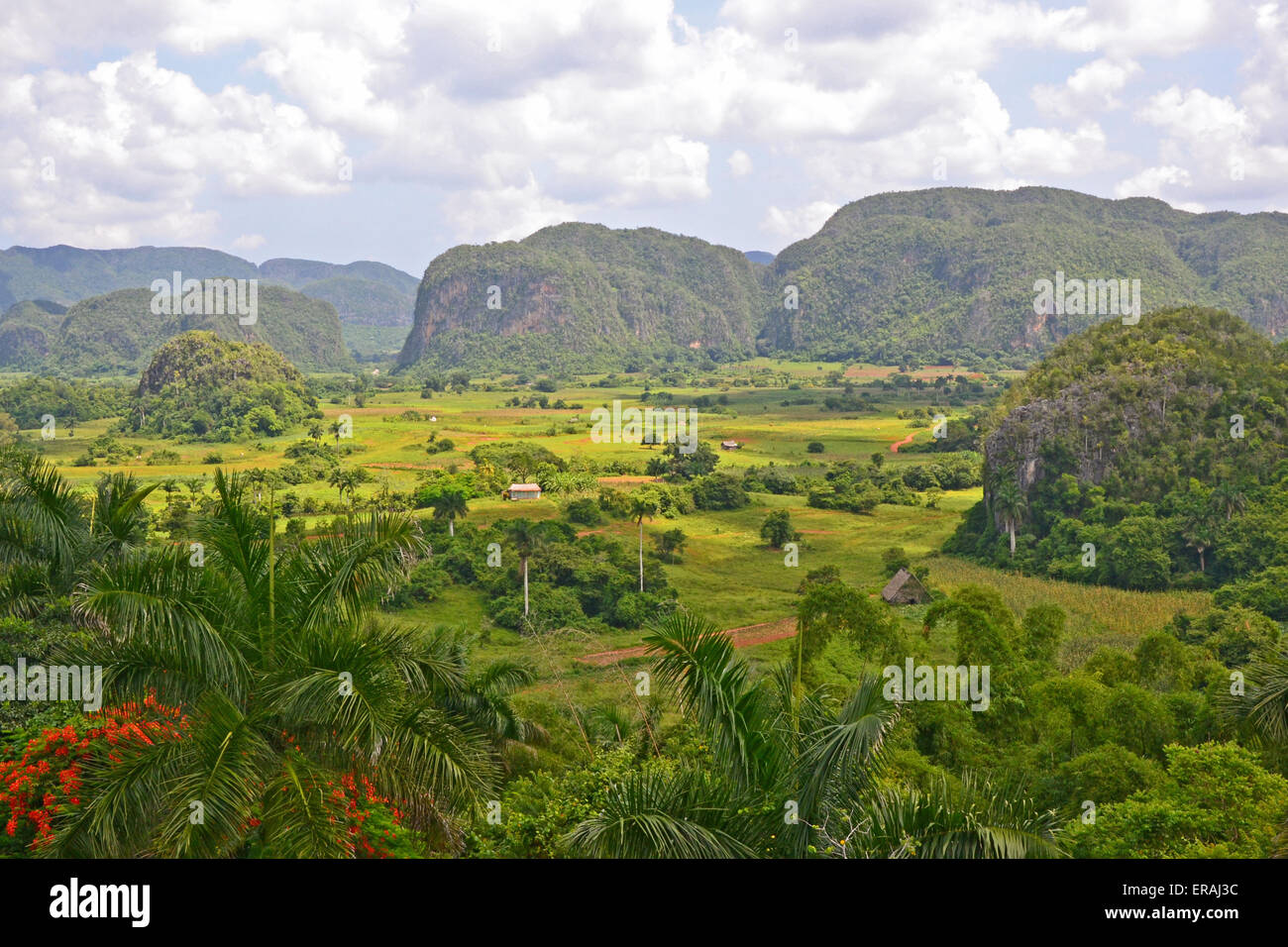 Cuba scenery hi-res stock photography and images - Alamy