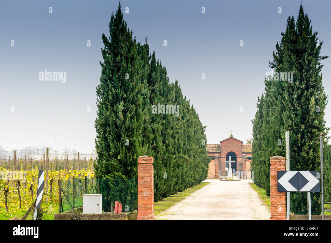 entrance to a countryside cemetery between two rows of cypress trees in ...