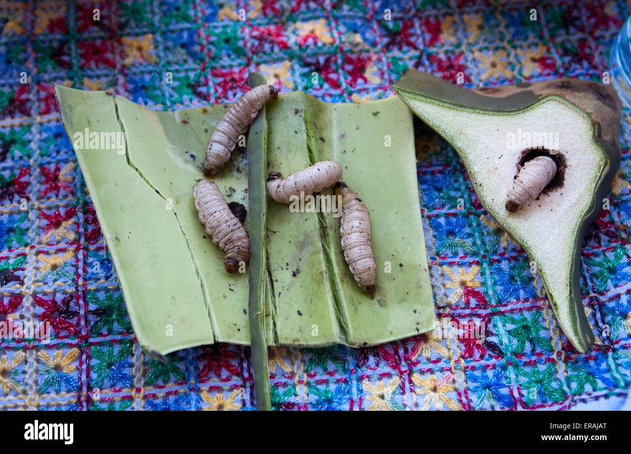 Cooked grubs hi-res stock photography and images - Alamy