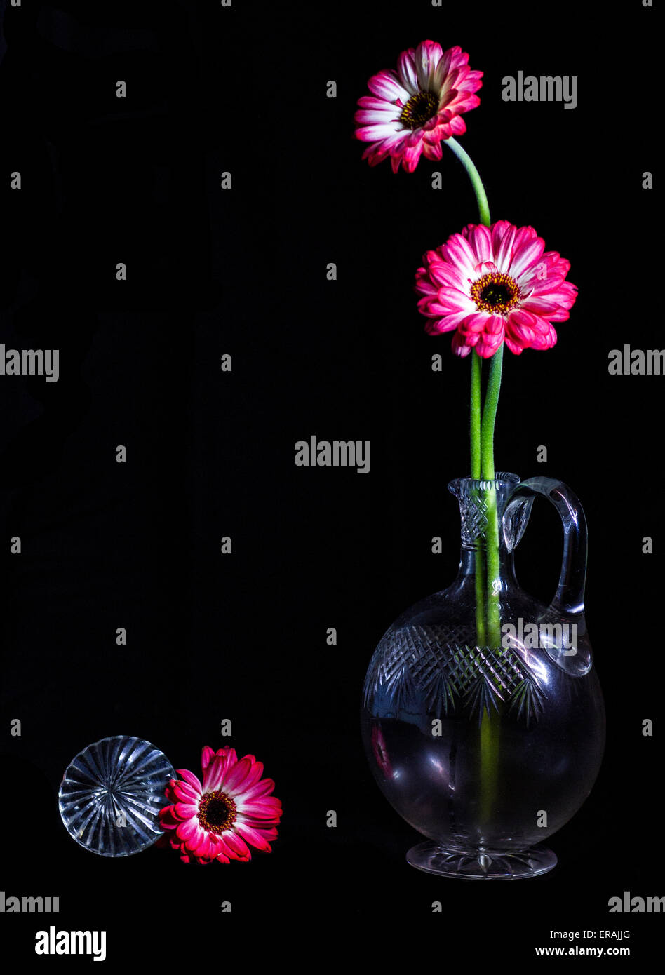 Light painted flowers Stock Photo - Alamy