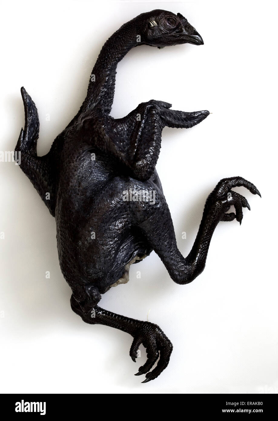 Raw Black Chicken or Silkie - An example of the strange or weird food ...