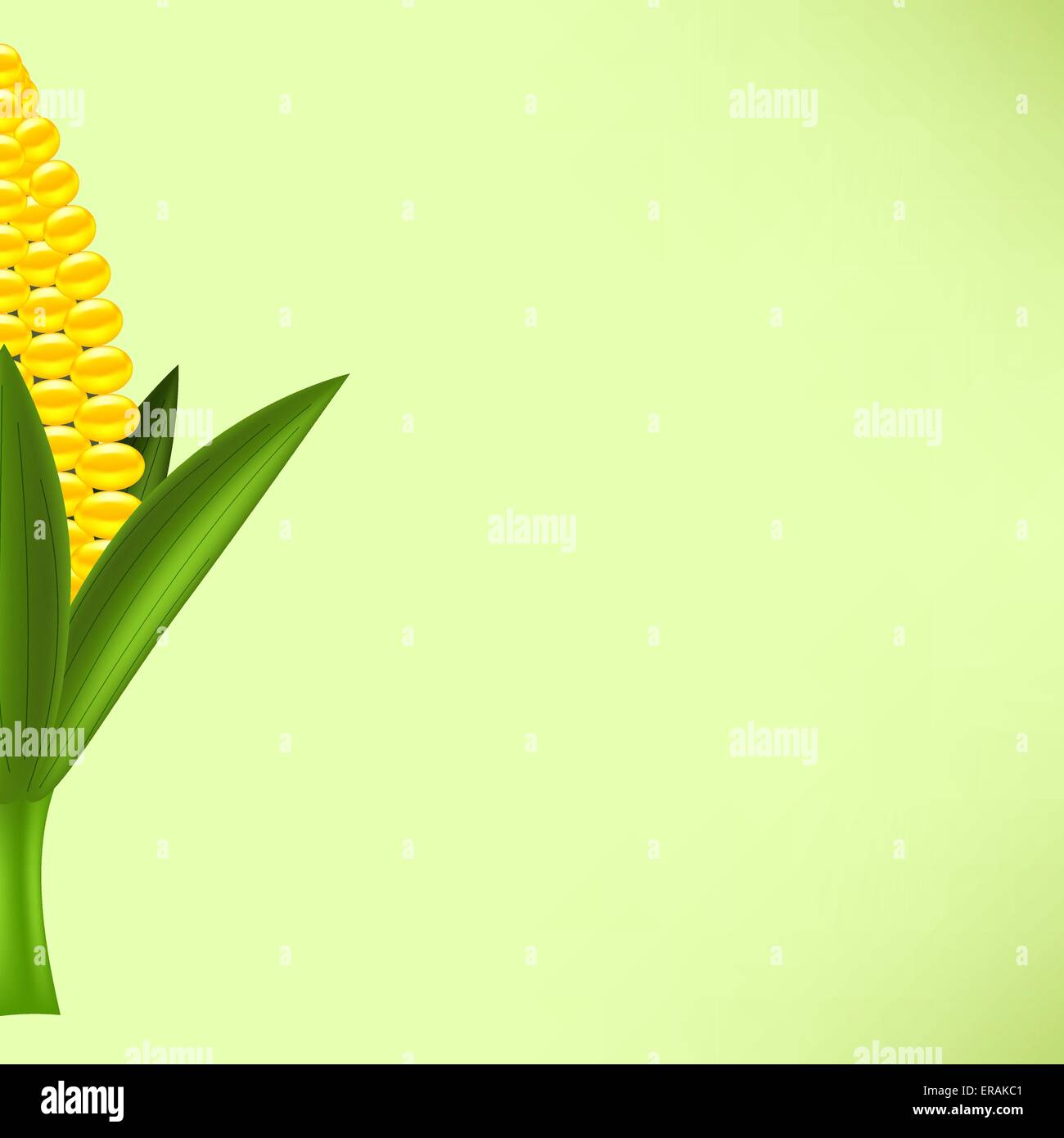 Yellow Cob Corn Stock Vector Image & Art - Alamy