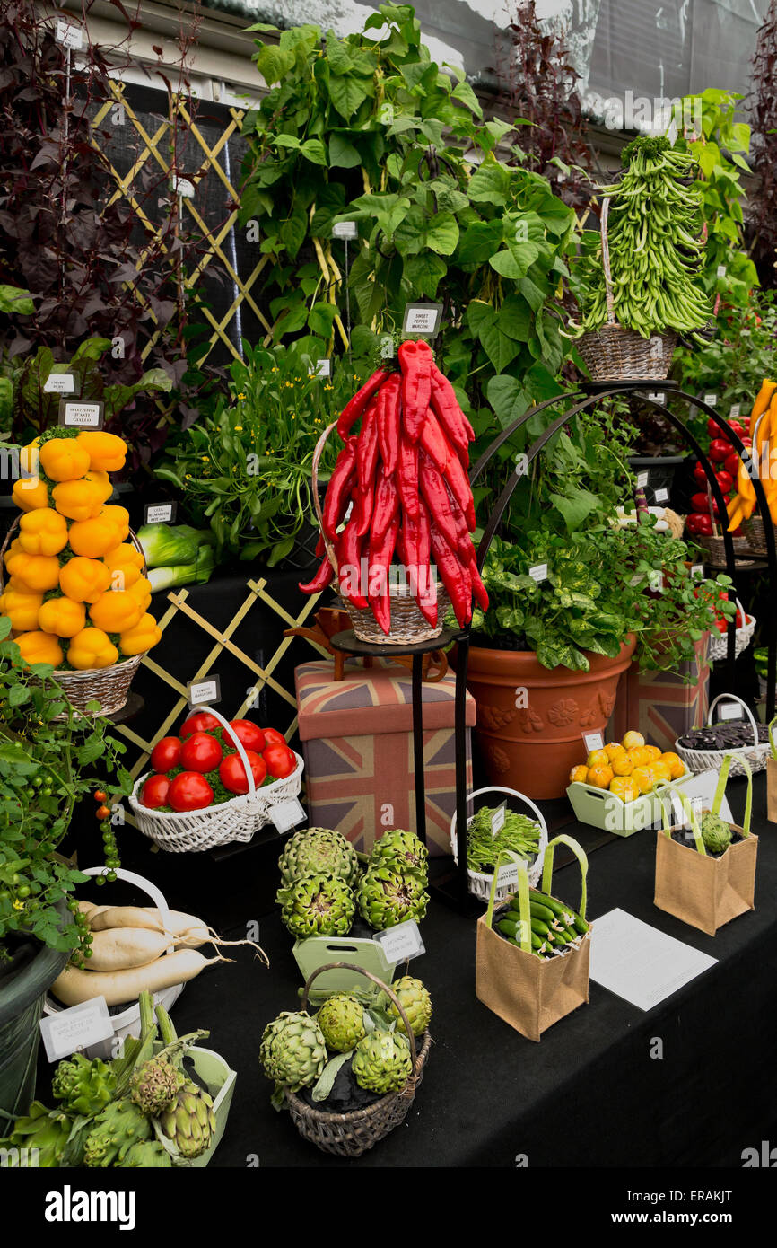 Vegetable display at the Great Pavillon at the RHS Chelsea Flower Show ...