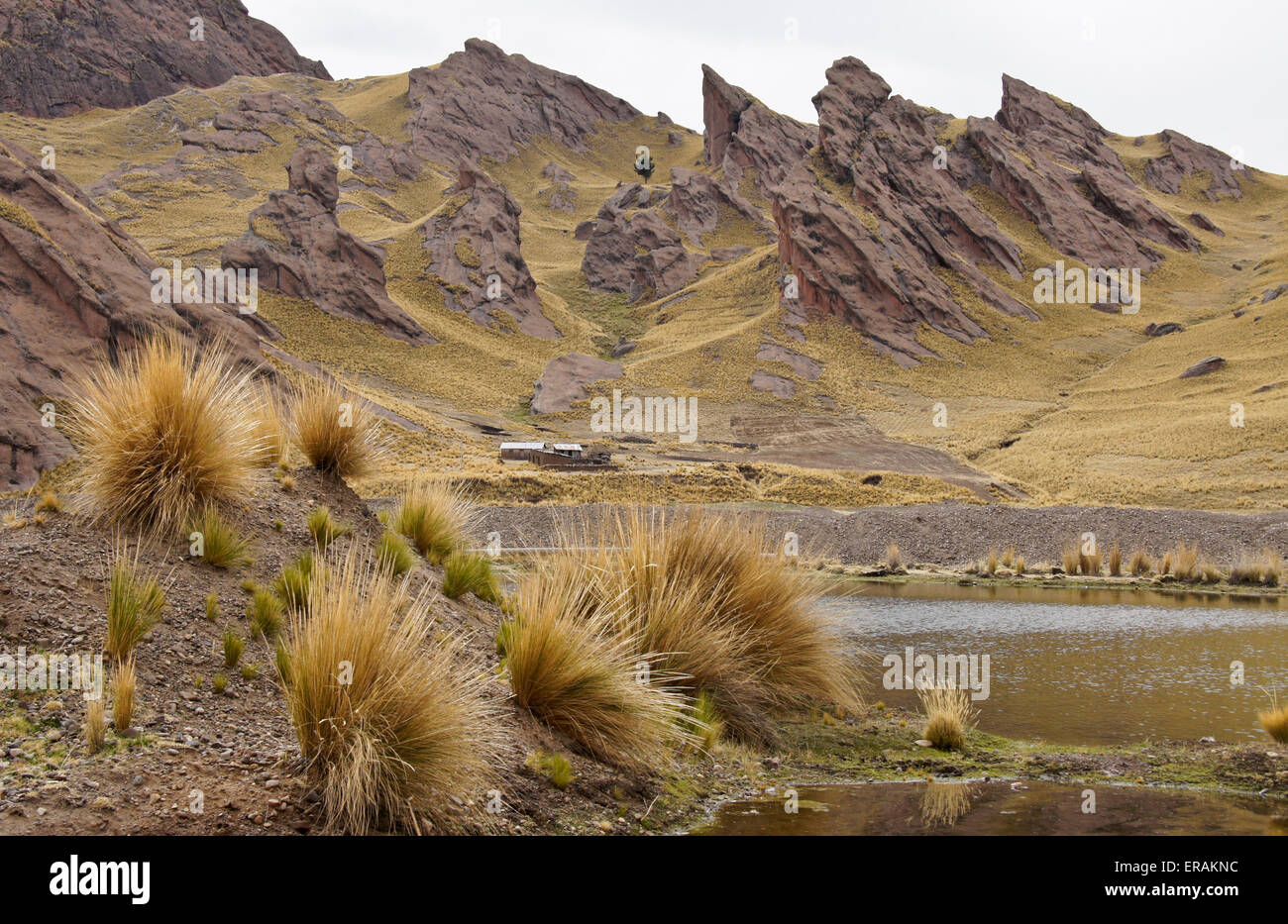 Rock formations in Tinajani Canyon (Canyon of the Devil), Peru Stock ...
