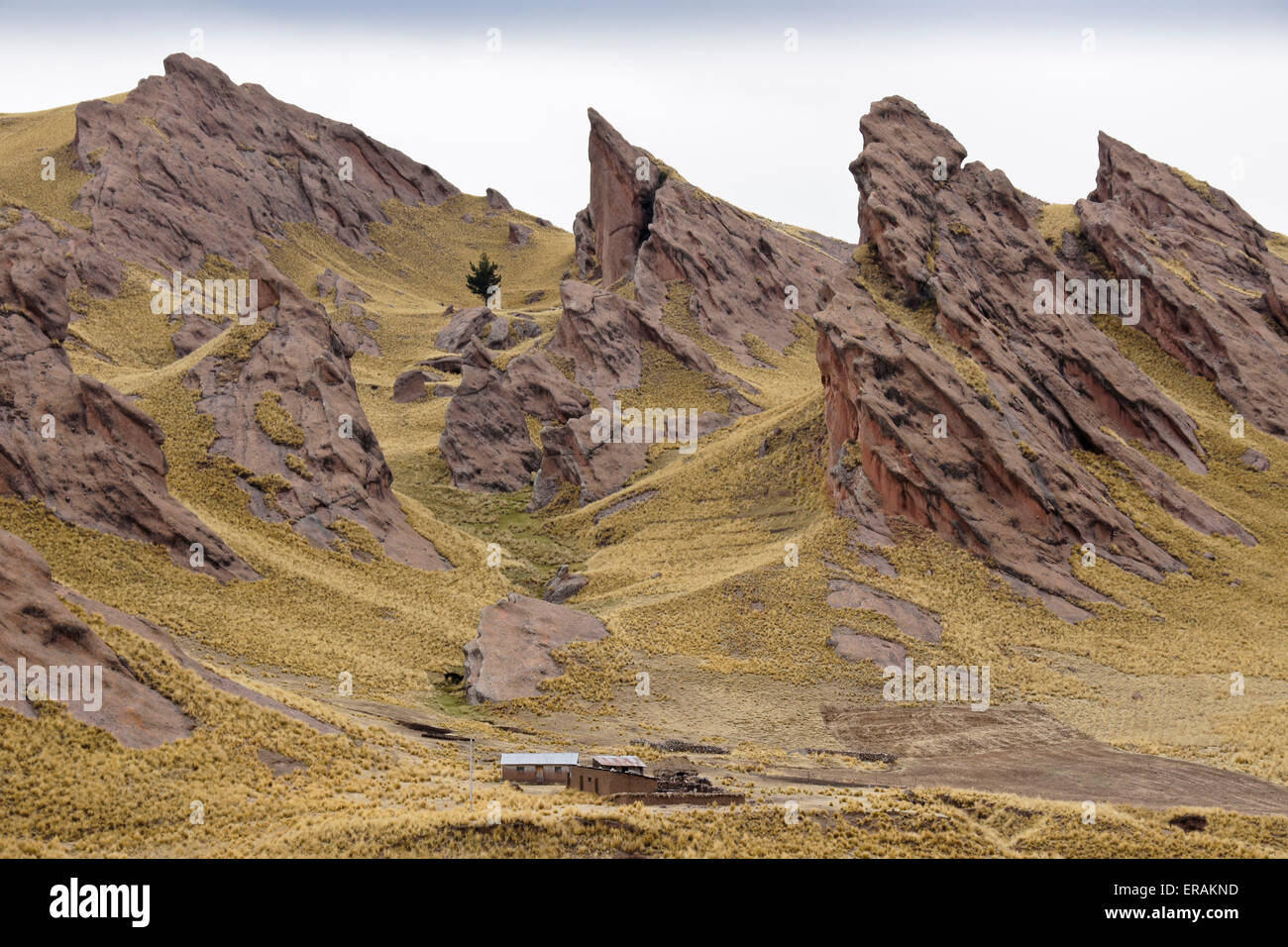 Rock formations in Tinajani Canyon (Canyon of the Devil), Peru Stock ...