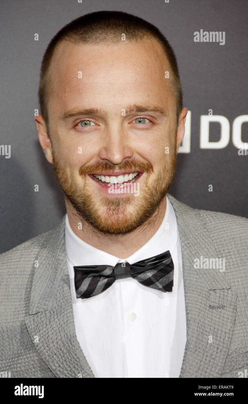 Aaron Paul at the Los Angeles premiere of 'Zero Dark Thirty' held at ...