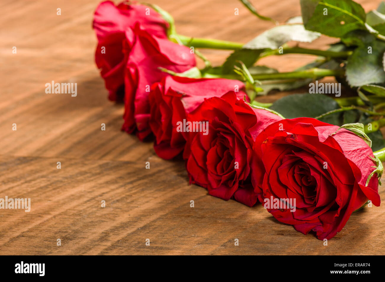 Row roses hi-res stock photography and images - Alamy