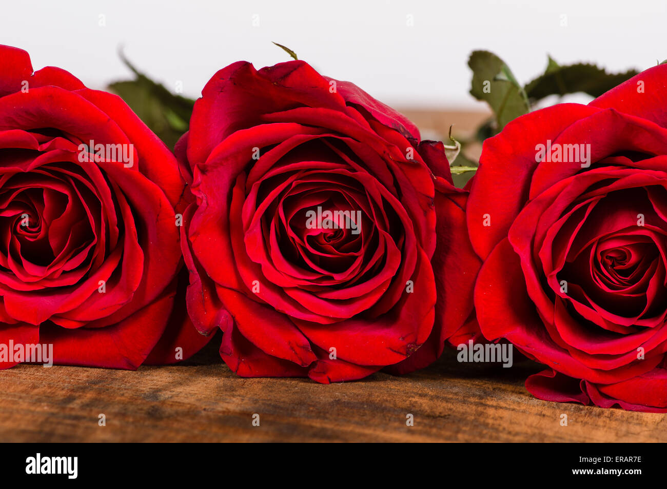 Red roses row hi-res stock photography and images - Alamy