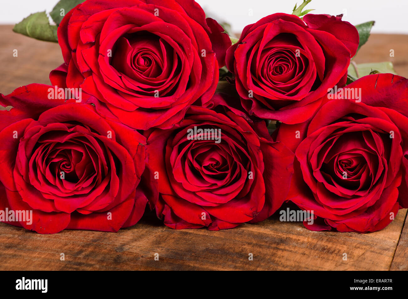 Five petal red rose hi-res stock photography and images - Alamy
