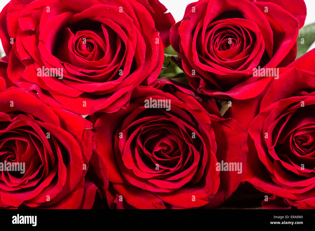 A group of red roses stacked on a table Stock Photo - Alamy