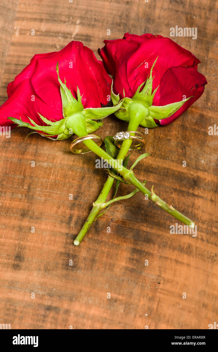 Two red roses with wedding rings attached Stock Photo - Alamy
