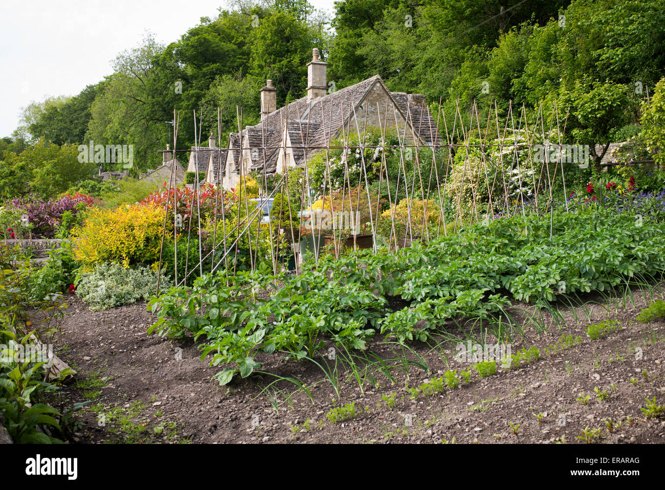 Vegetable garden and country cottages in Bibury in spring. Cotswolds ...