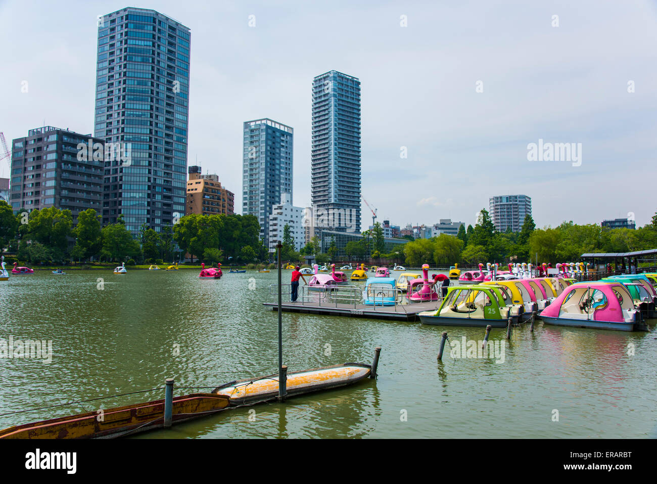 Shinobazu Pond,Ueno Park,Taito-Ku,Tokyo,Japan Stock Photo - Alamy