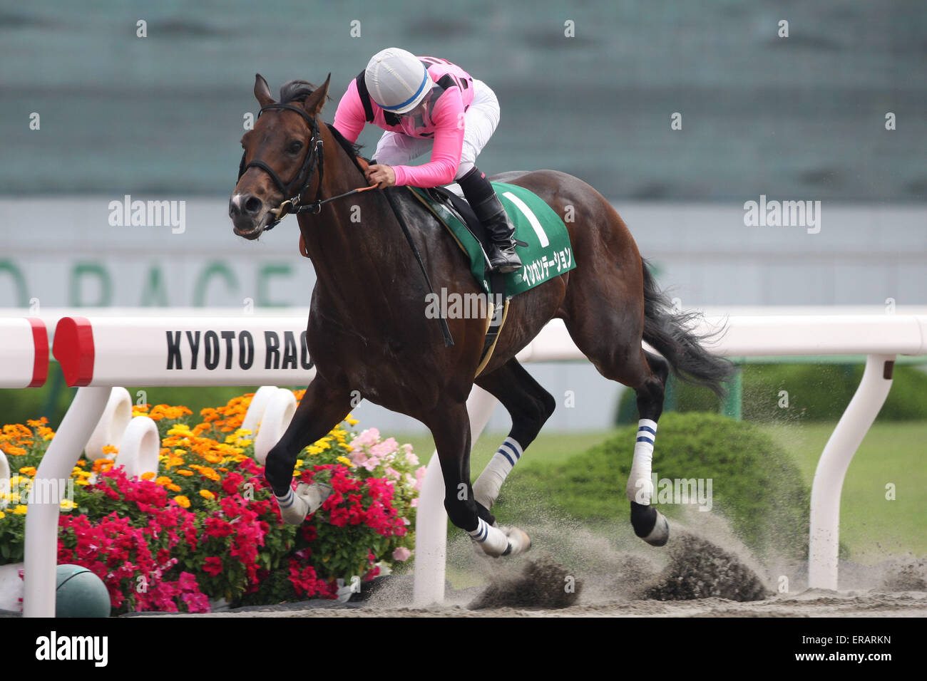 Horse racecourse kyoto hi-res stock photography and images - Alamy