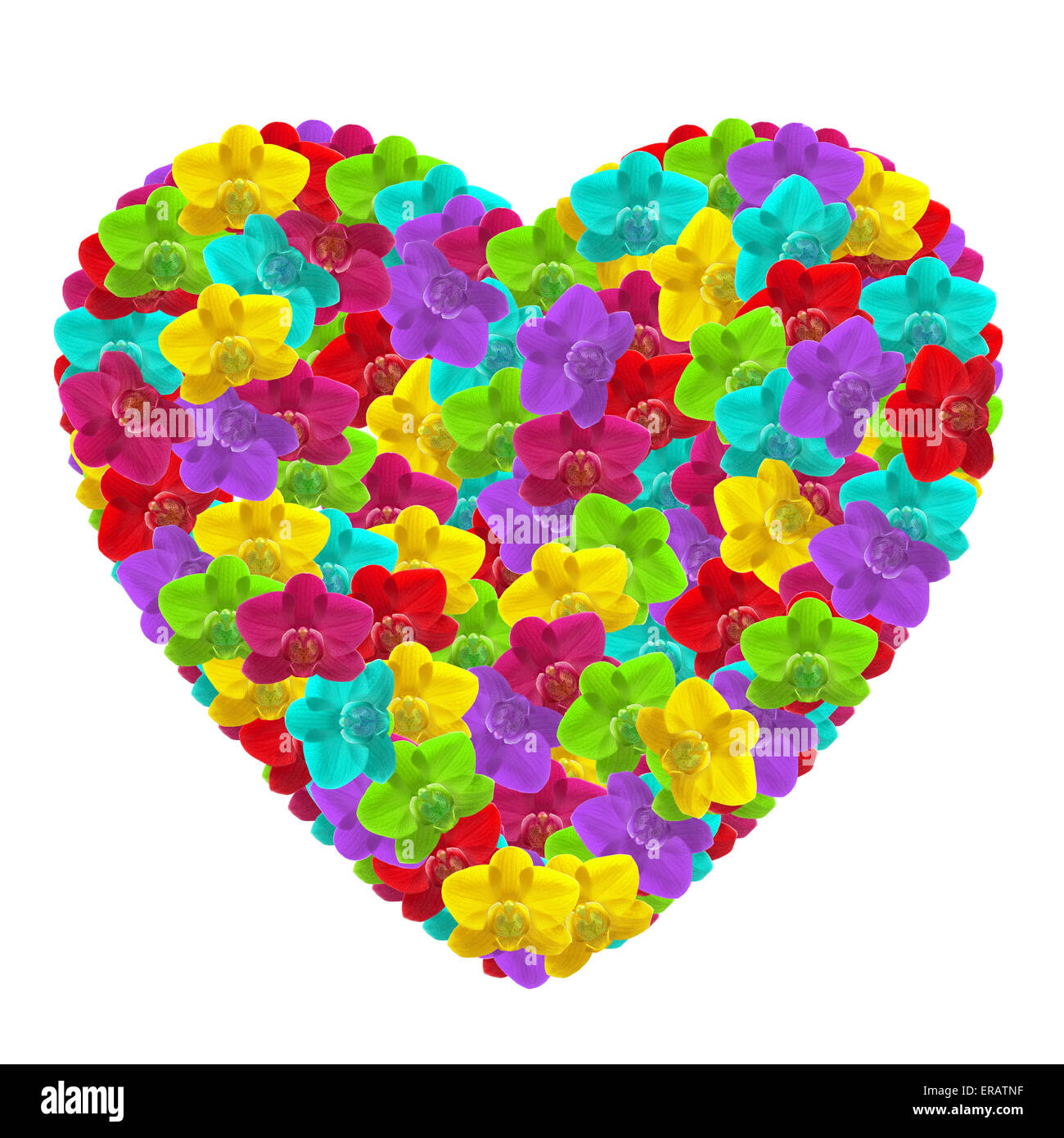 heart shape of exotic color orchid flower isolated on white background ...