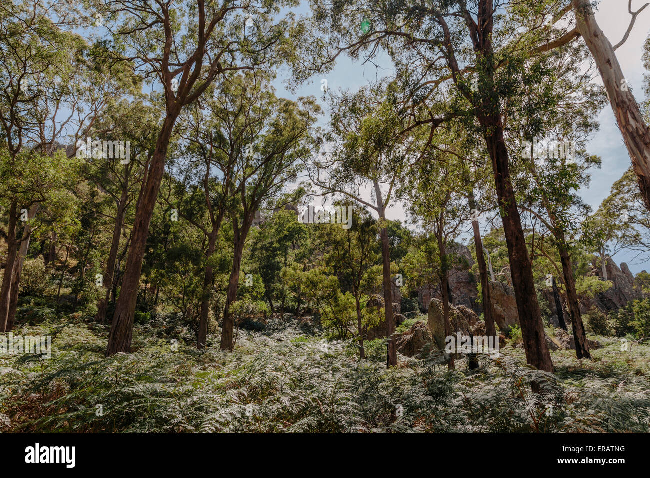 Hanging Rock (Mt. Diogenes) Recreation Reserve, Macedon Ranges ...
