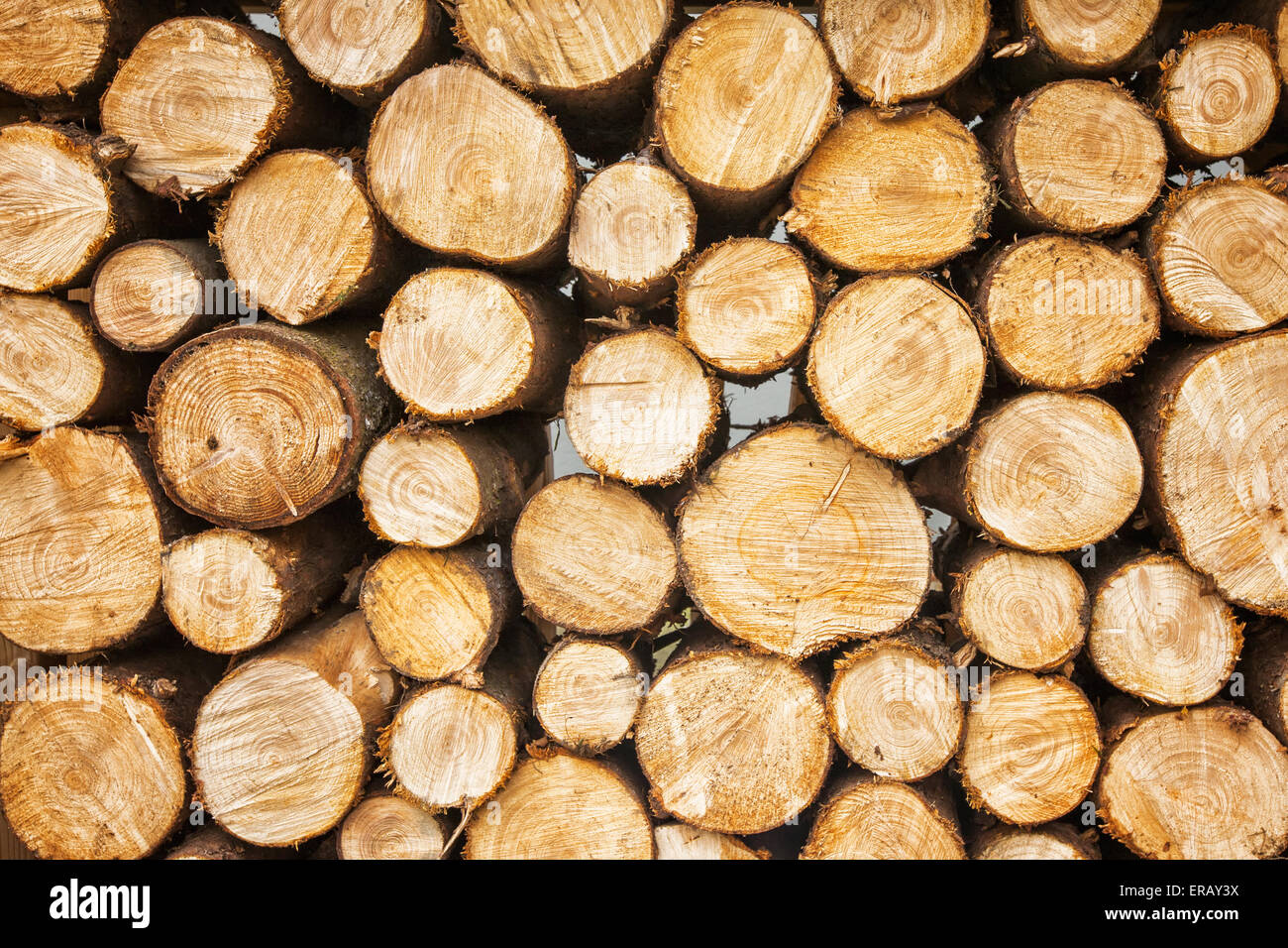 Wood log background hi-res stock photography and images - Alamy