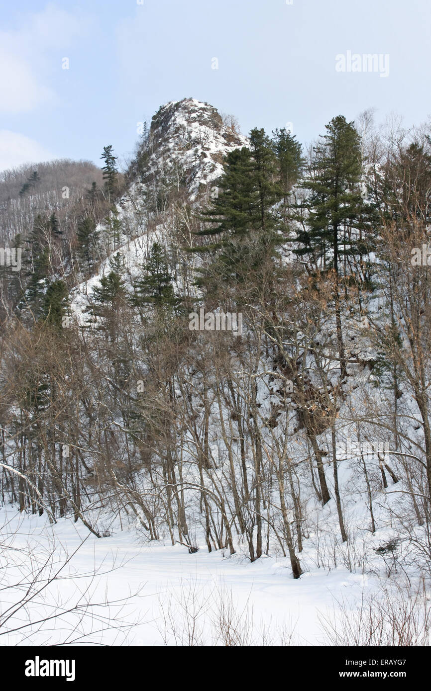 A rock in the forest covered with snow Stock Photo - Alamy