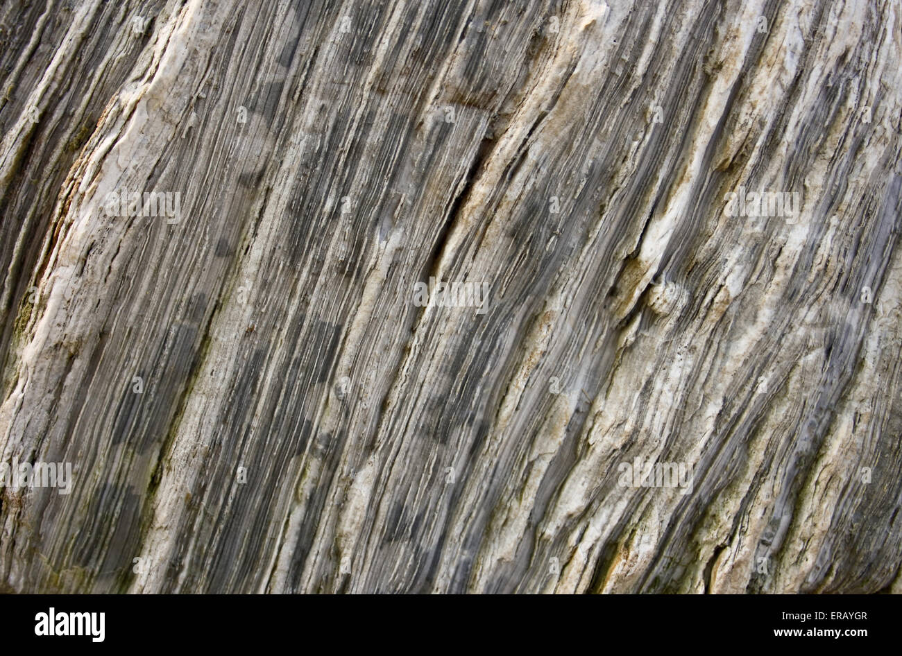 Unusual texture hi-res stock photography and images - Alamy