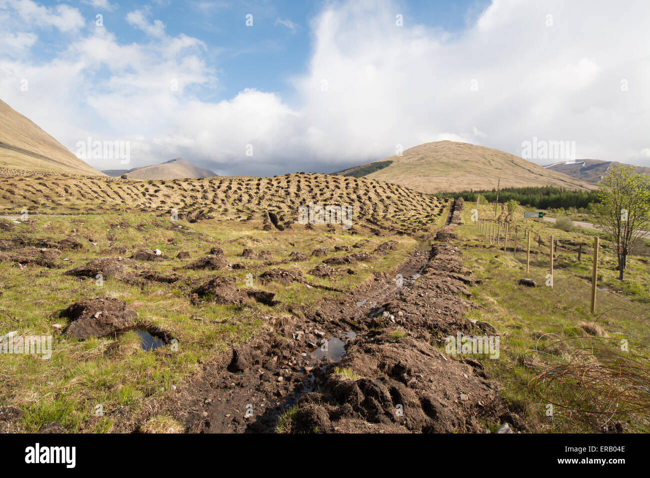 Tree mounding hi-res stock photography and images - Alamy