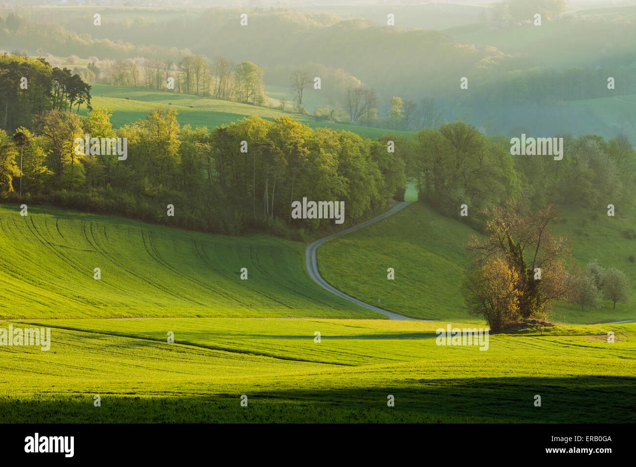 Zeglingen hi-res stock photography and images - Alamy