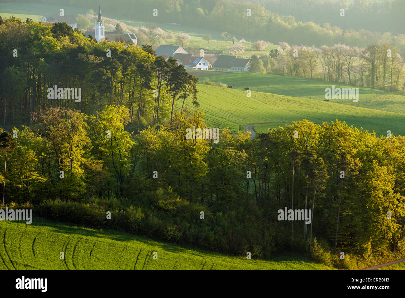 Spring morning in the Swiss countryside near Zeglingen, canton Basel ...