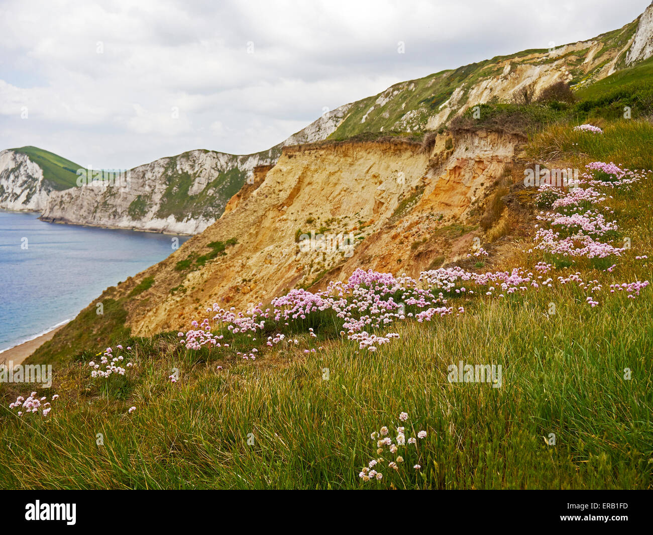Lulworth range hi-res stock photography and images - Alamy