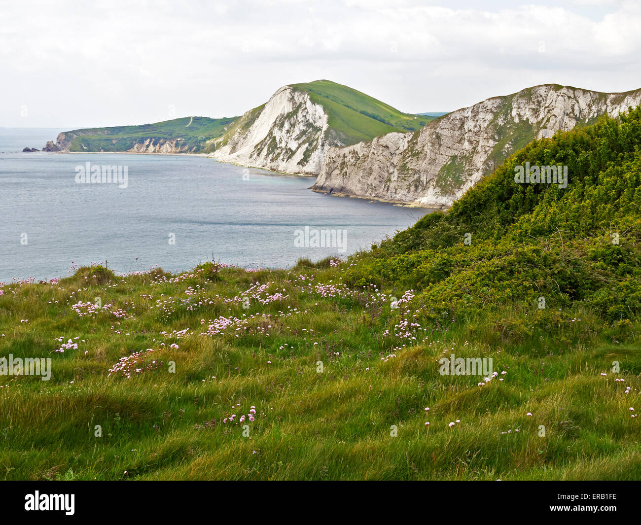 Lulworth range hi-res stock photography and images - Alamy