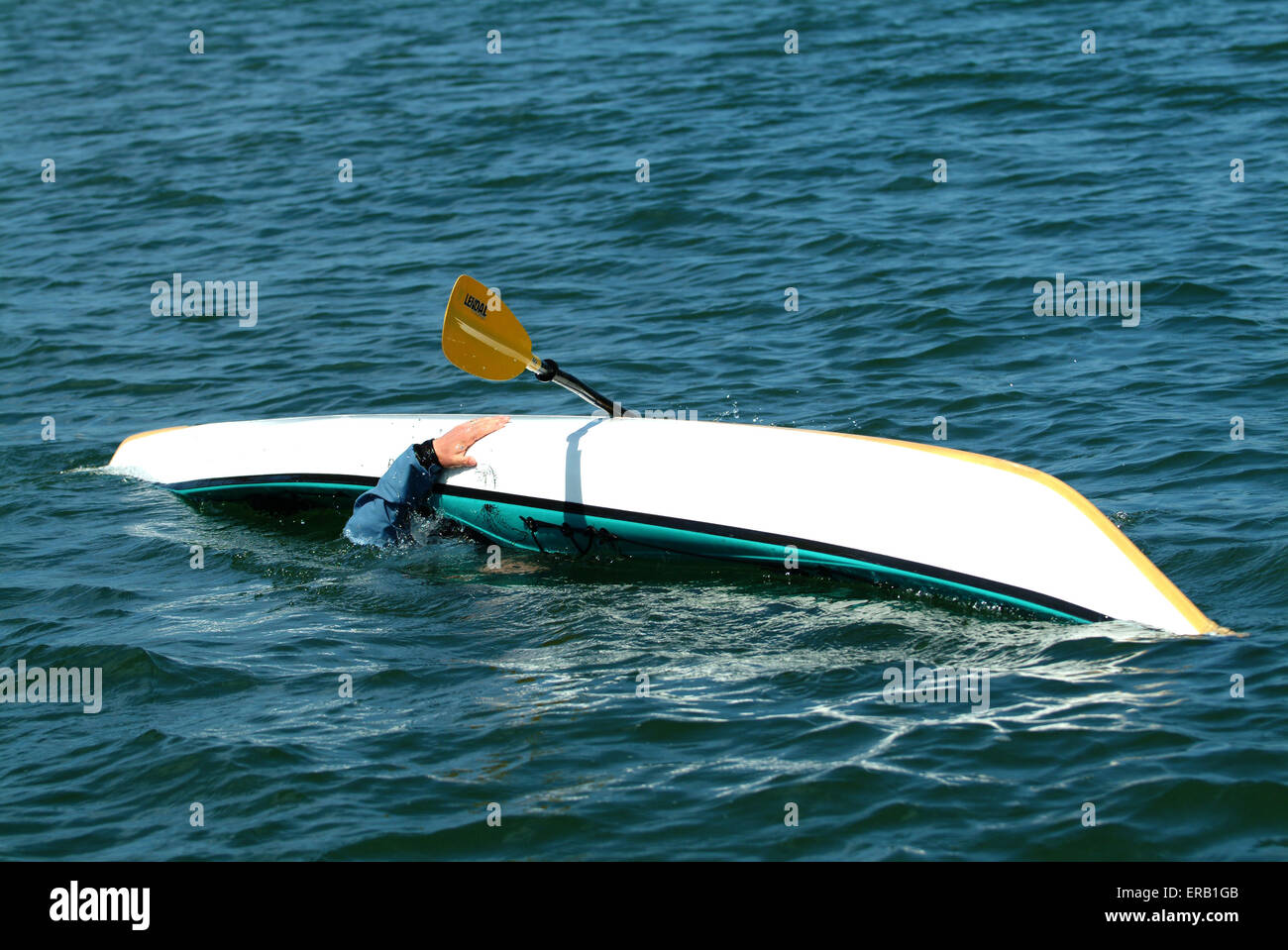 Sea kayaking off the coast of Anglesey, Wales, UK Stock Photo - Alamy