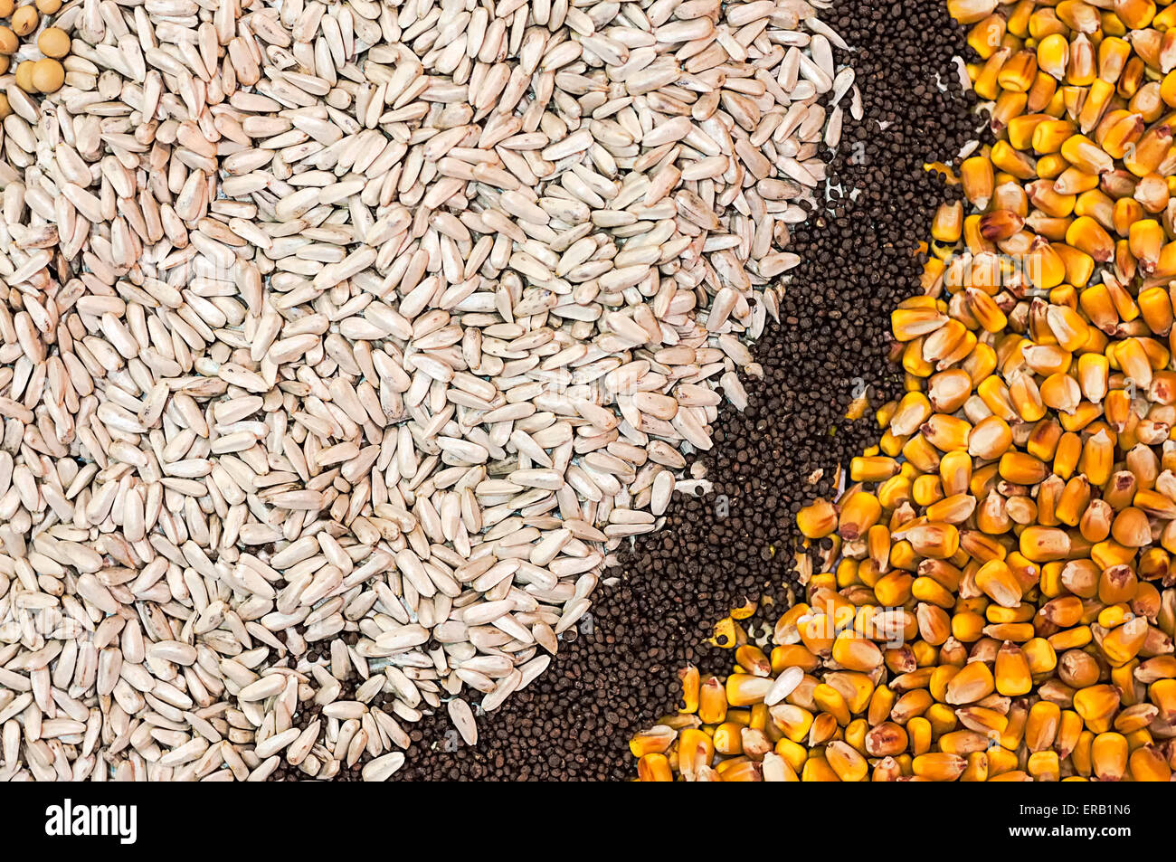 Various Agricultural Crop Seed as Abstract Full Frame Textured ...