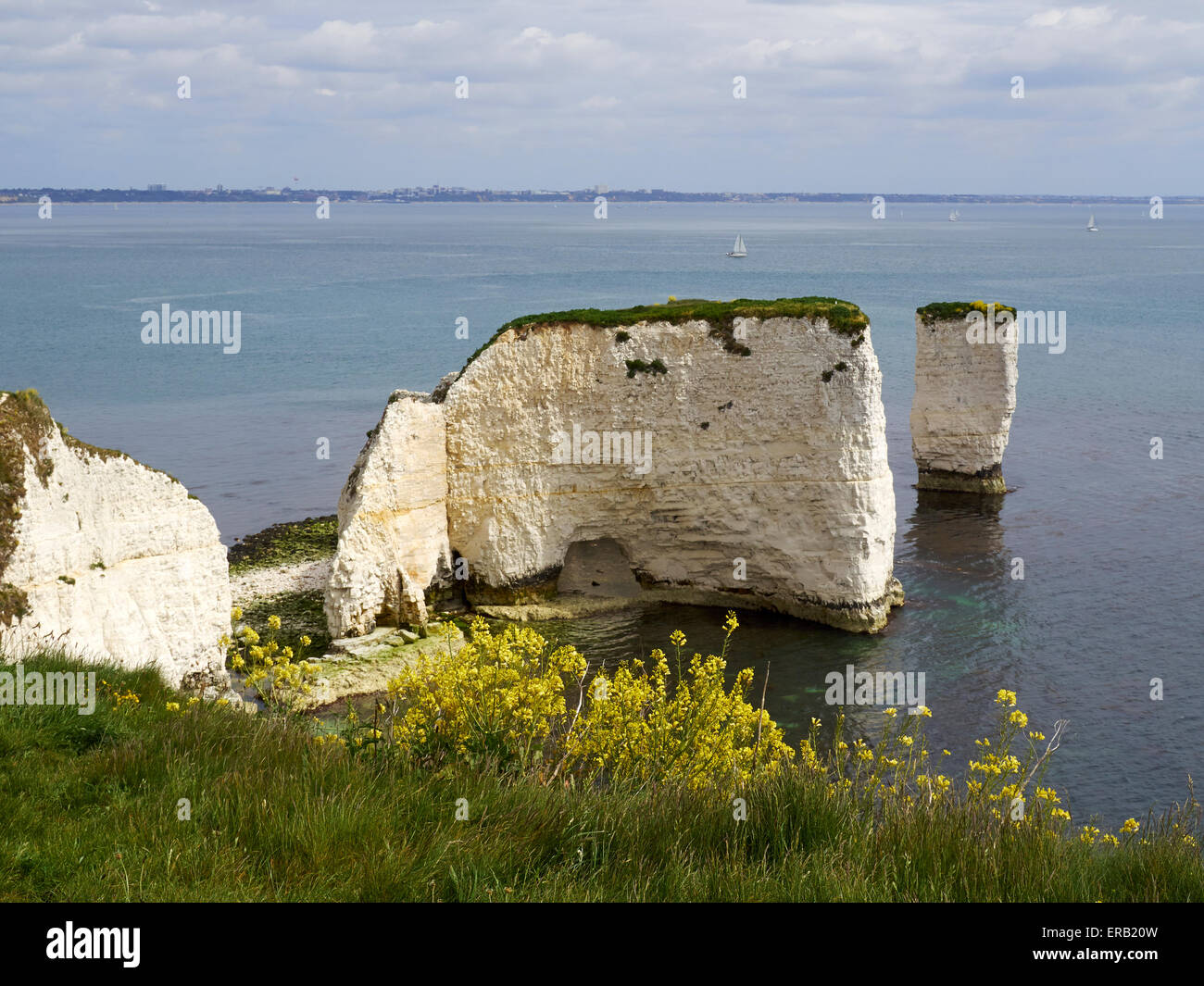 The spectacular chalk cliffs and sea stacks of Old Harry Rocks at rthe ...
