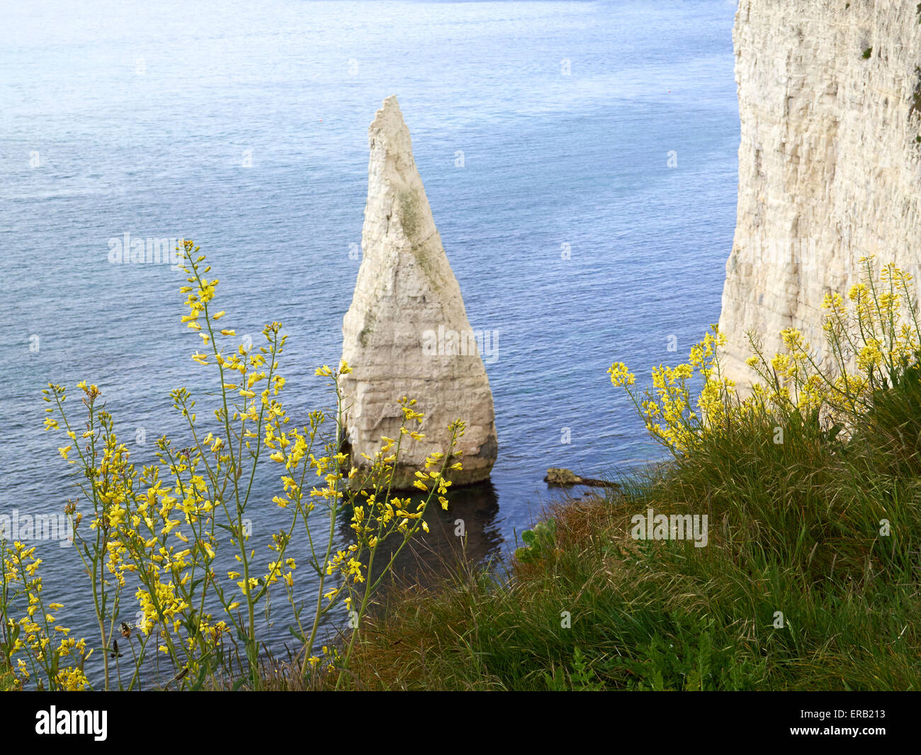 Ballard Point High Resolution Stock Photography and Images - Alamy