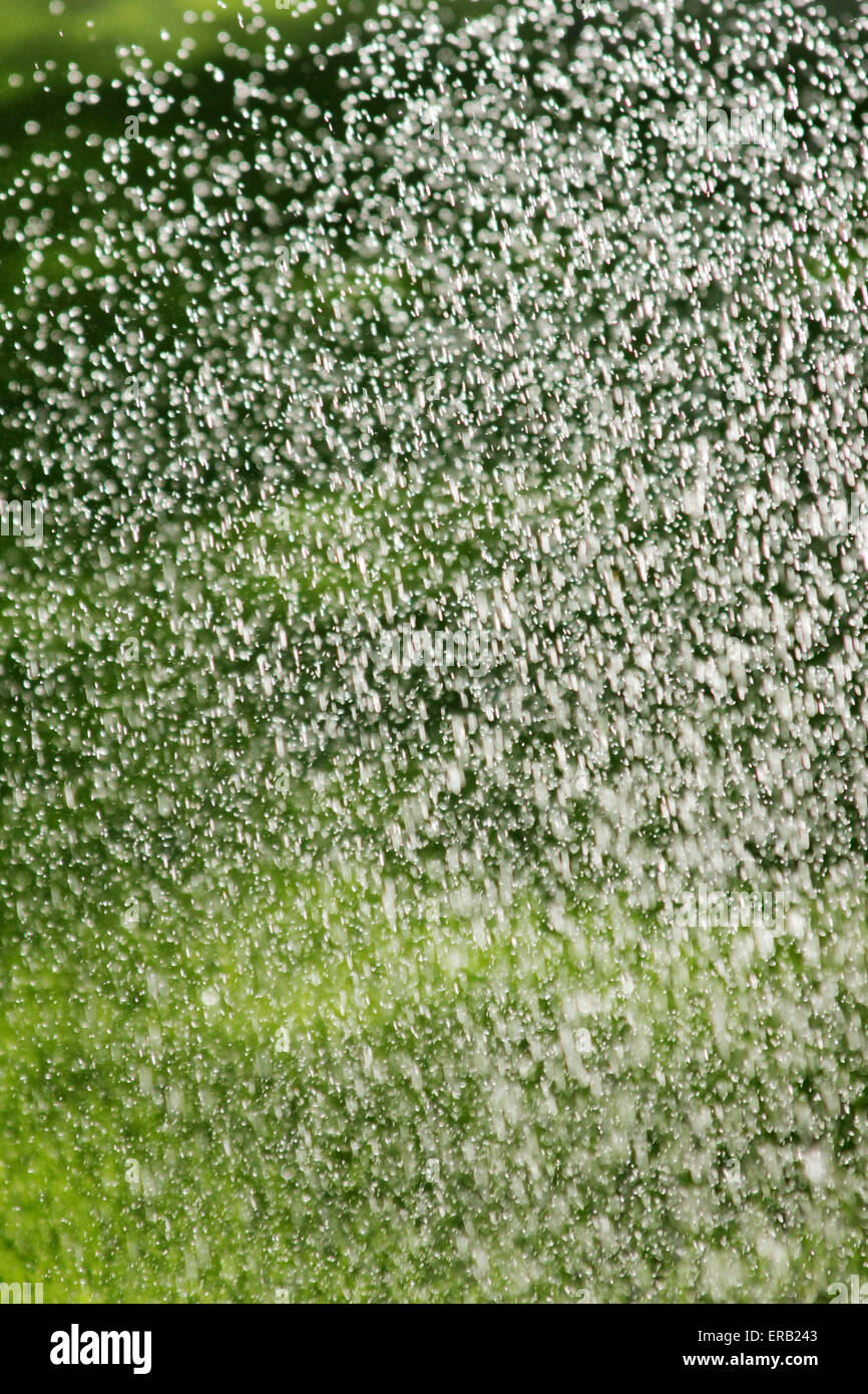 Run through water sprinkler hi-res stock photography and images - Alamy