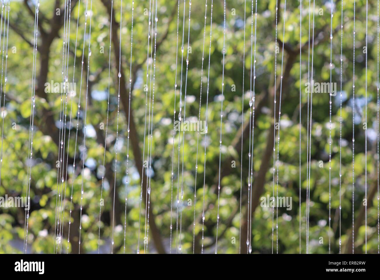 Water droplets gliding down on a string of wire Stock Photo - Alamy