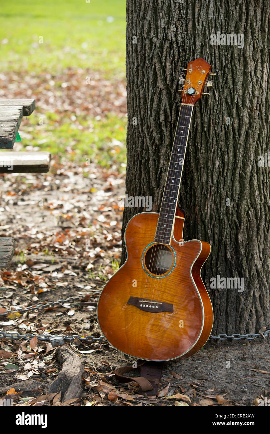 a guitar leaning on a tree Stock Photo - Alamy