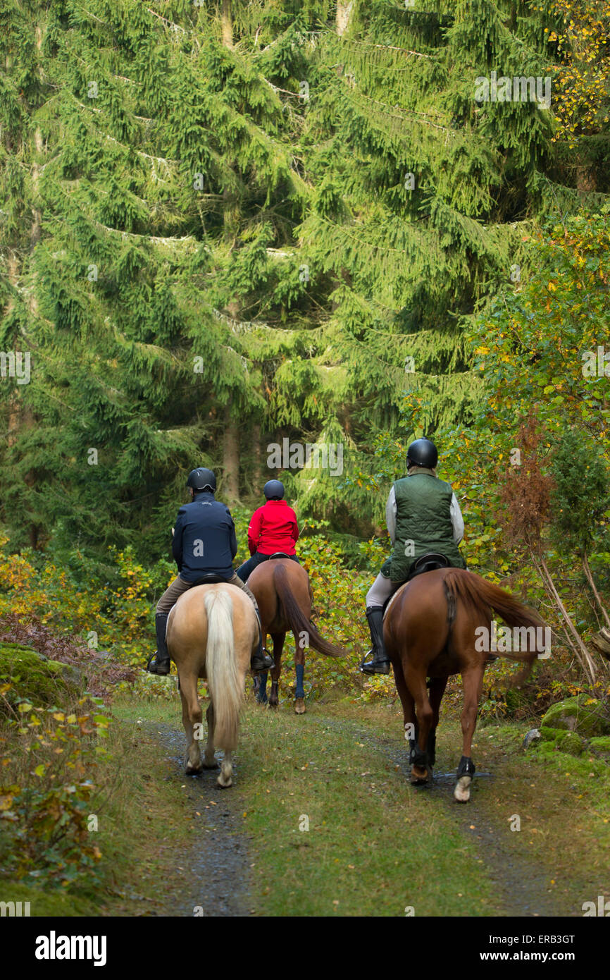 Three women horse riding on hi-res stock photography and images - Alamy